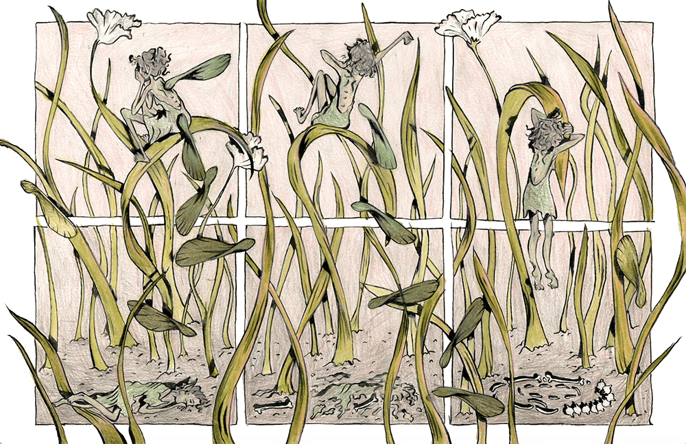 Wildgrass - F Newsmagazine